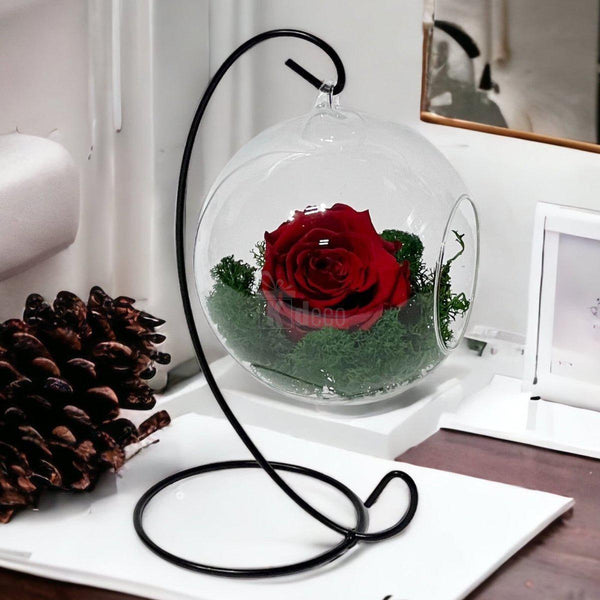 Globuri cu Trandafiri Criogenati - Kdeco.ro - Trandafiri Criogenati Nemuritori